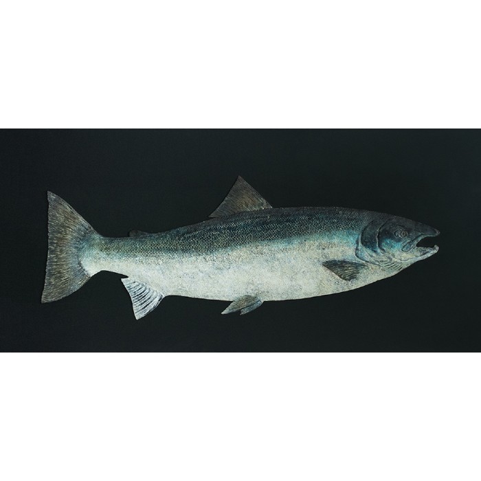 Atlantic Salmon by Sam MacDonald | Sam MacDonald | House Of Bruar