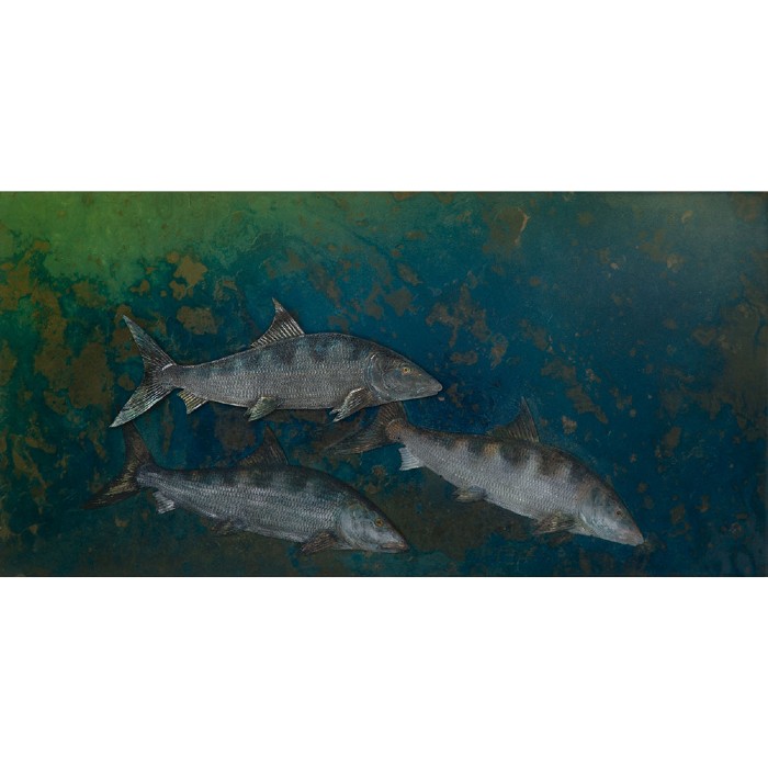 Sam Macdonald | House of Bruar