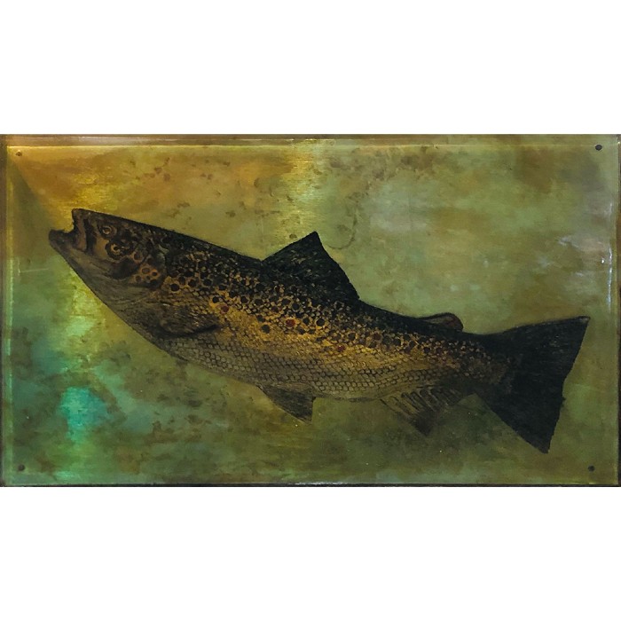 Brown Trout by Sam MacDonald | Sam MacDonald | House Of Bruar