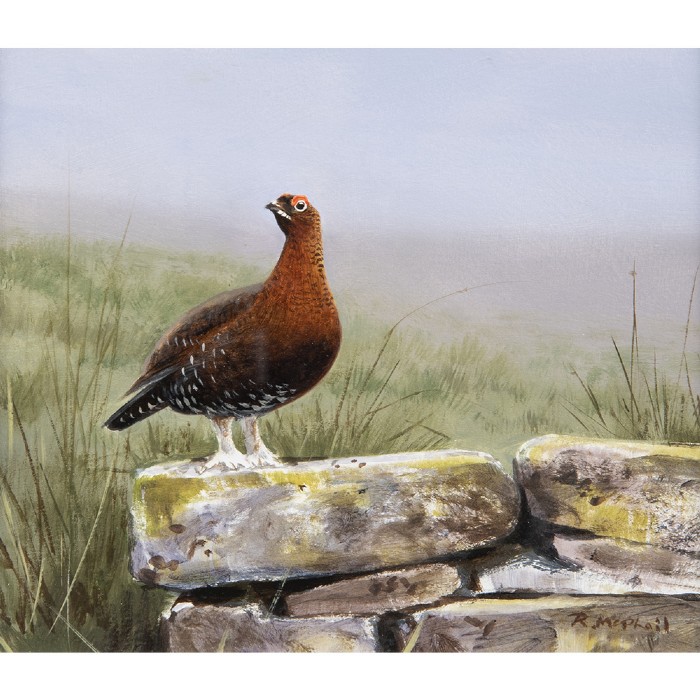 Single Grouse by Rodger McPhail | Rodger McPhail | House Of Bruar