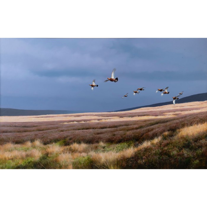 Driven Grouse by Rodger McPhail | Rodger McPhail | House Of Bruar