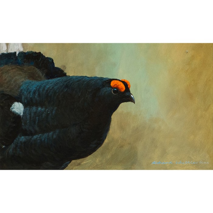 Richard Whittlestone | Scottish Painters | GALLERY | House Of Bruar