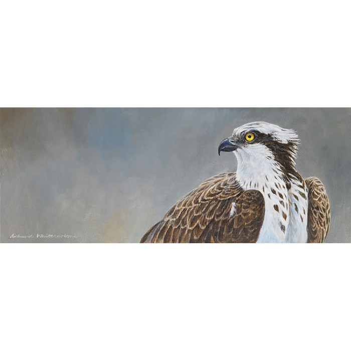 Richard Whittlestone | Scottish Painters | GALLERY | House Of Bruar