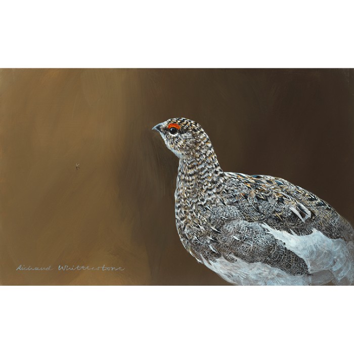 Richard Whittlestone | Scottish Painters | GALLERY | House Of Bruar