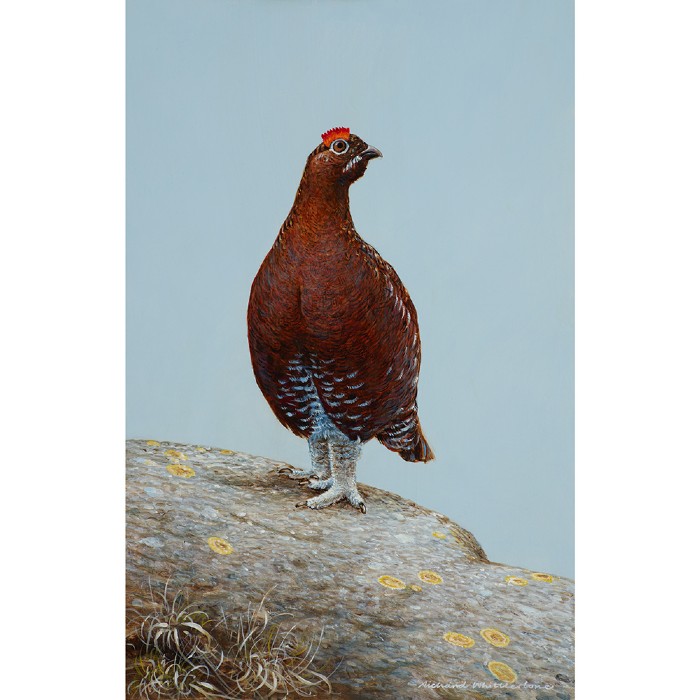 Richard Whittlestone | Scottish Painters | GALLERY | House Of Bruar