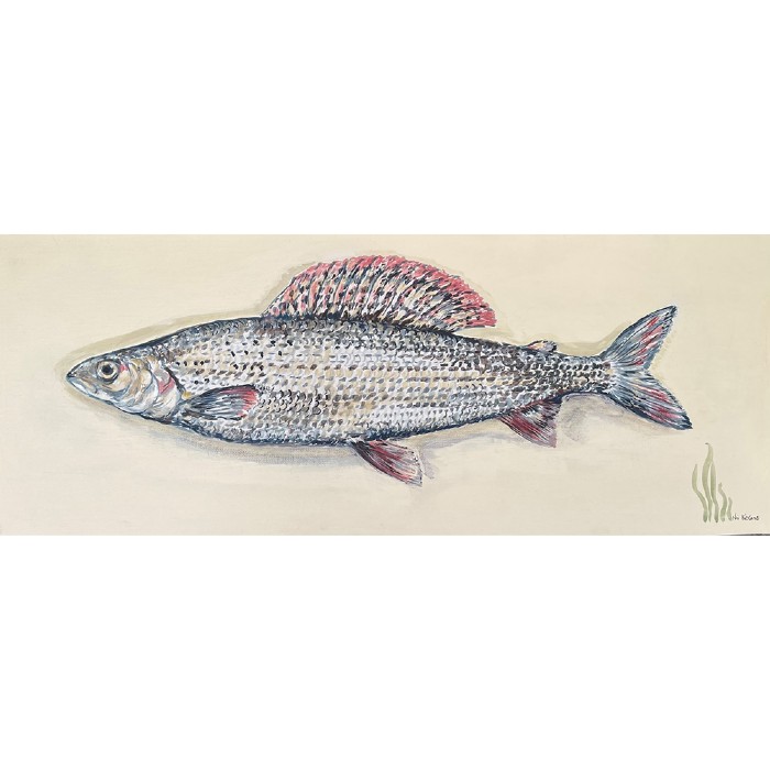 Nicola Kevane | Scottish Painters | GALLERY | House Of Bruar