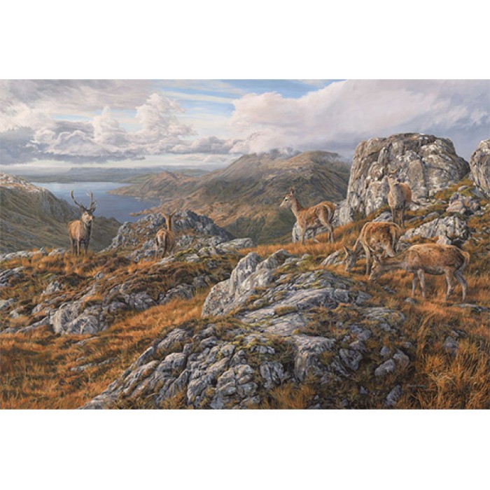 Martin Ridley | Scottish Painters | GALLERY | House Of Bruar