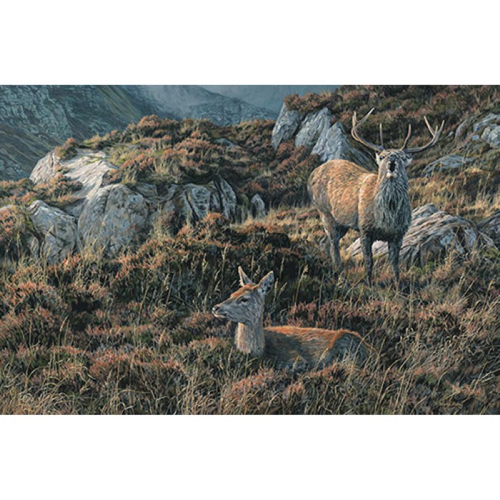 Martin Ridley | Scottish Painters | GALLERY | House Of Bruar