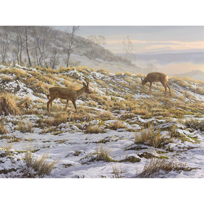 Martin Ridley | Scottish Painters | GALLERY | House Of Bruar