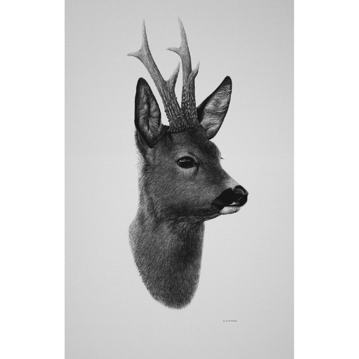 Keith Sykes | Scottish Painters | GALLERY | House Of Bruar