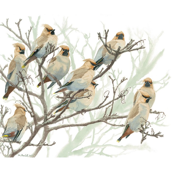 Ian Rendall | Scottish Painters | GALLERY | House Of Bruar