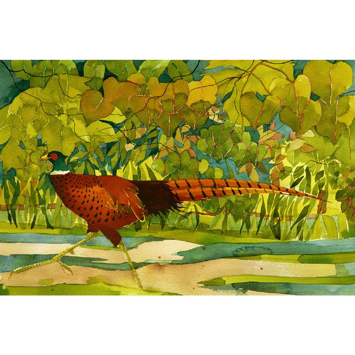 Mary Ann Rogers | Scottish Painters | GALLERY | House Of Bruar Page 2