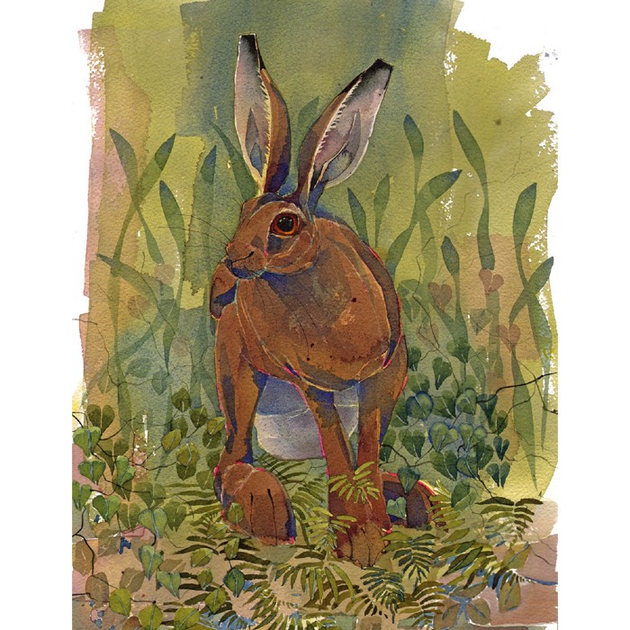 Mary Ann Rogers | Scottish Painters | GALLERY | House Of Bruar