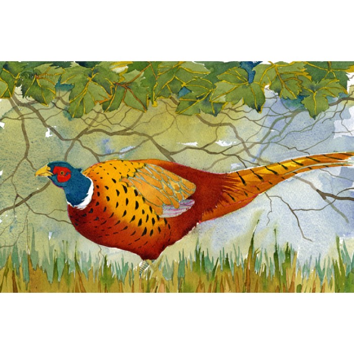 Mary Ann Rogers | Scottish Painters | GALLERY | House Of Bruar