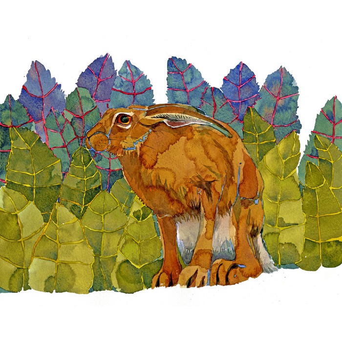 Mary Ann Rogers | Scottish Painters | GALLERY | House Of Bruar