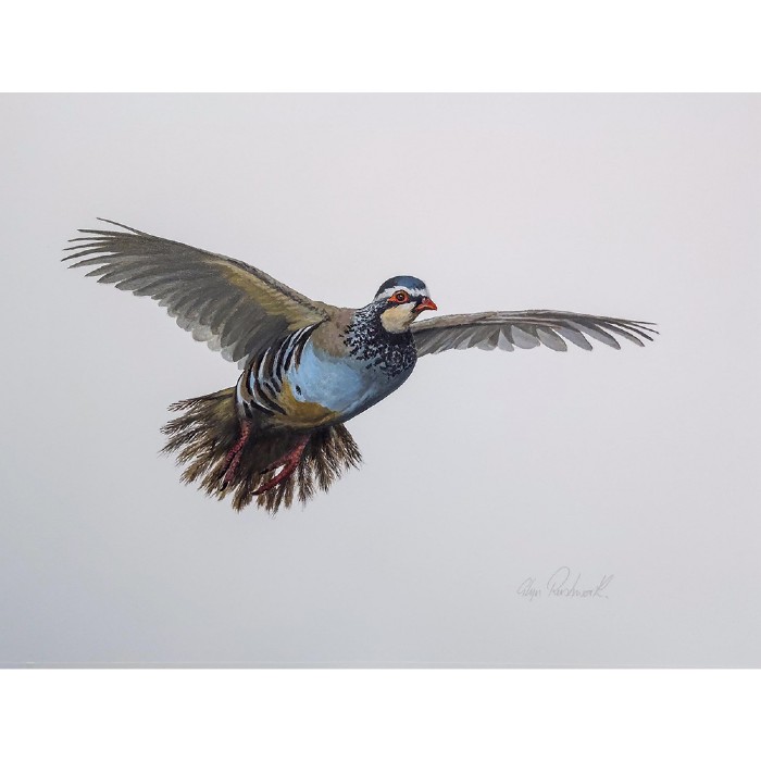 Glyn Rushworth | Scottish Painters | GALLERY | House Of Bruar