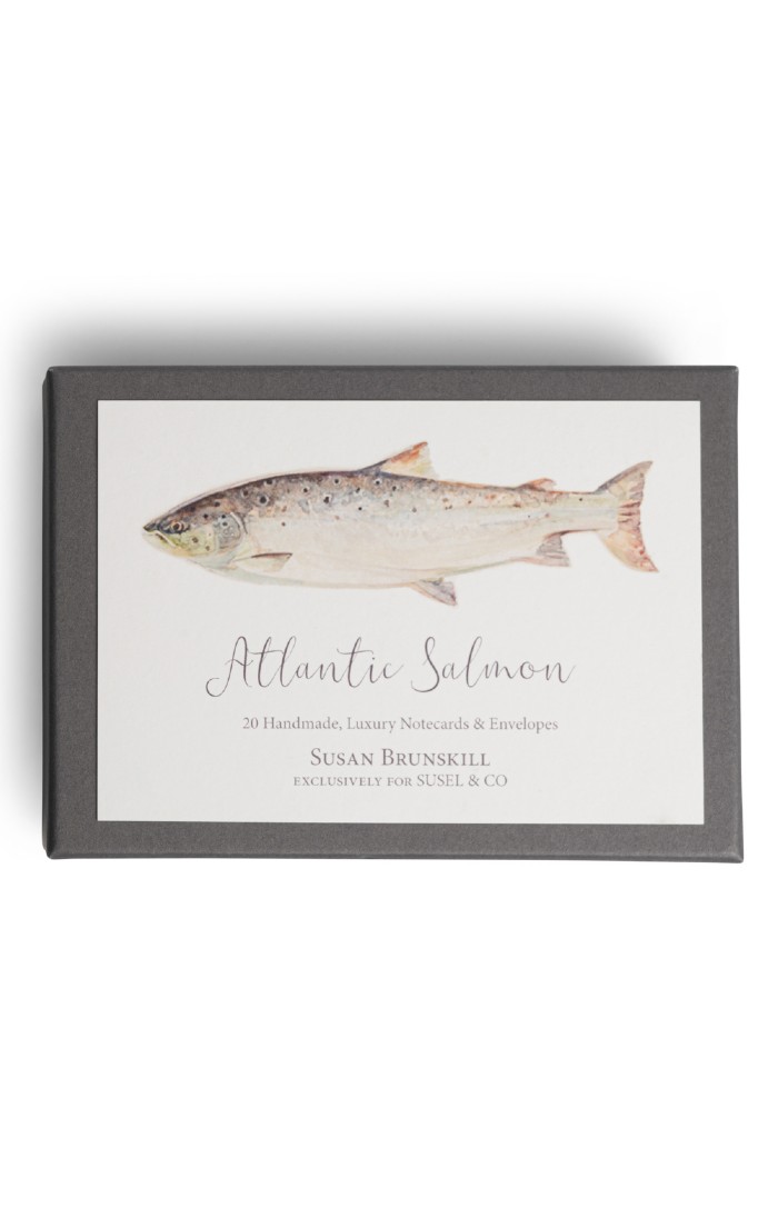 Pack of 20 Susel & Co. Fine Art Handmade Notecards, Pink - House of Bruar