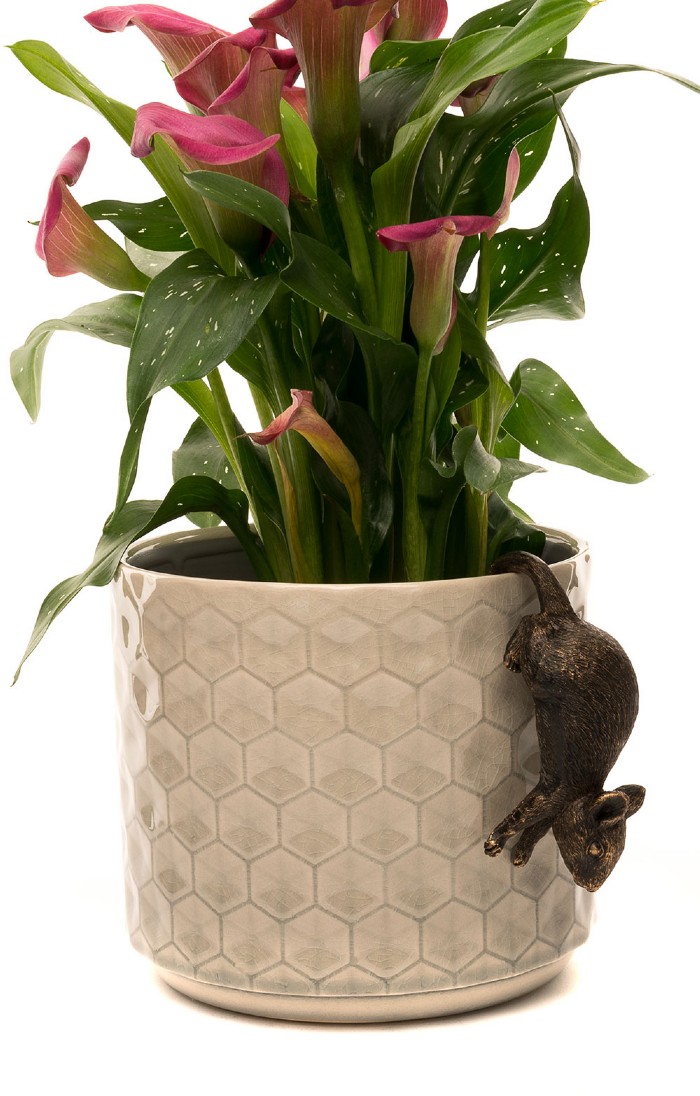 Jardinopia Pot Buddy Plant Pot Hanger - House of Bruar