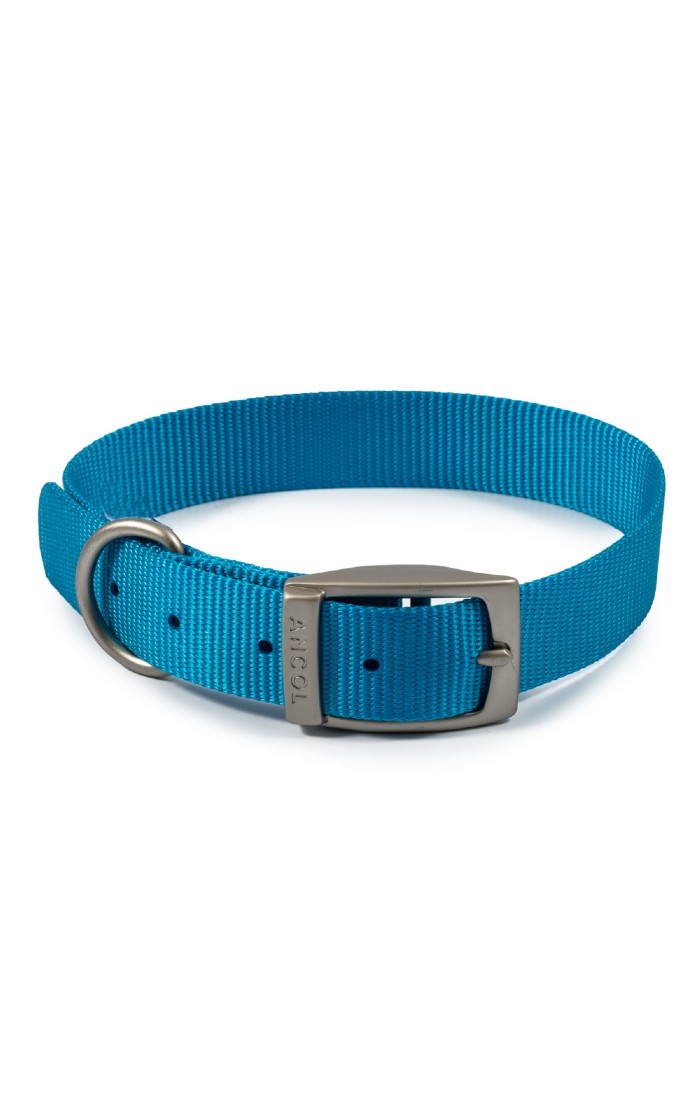 Ancol Viva Buckle Collars, Blue - House of Bruar