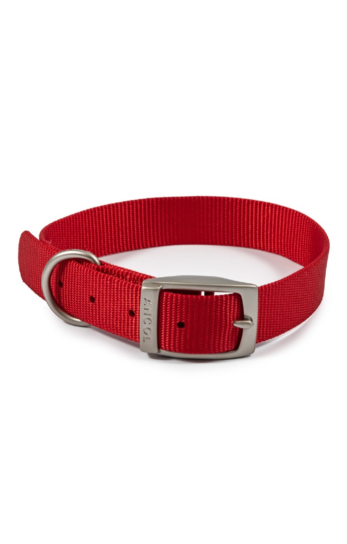Ancol Viva Buckle Collars, Red - House of Bruar